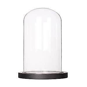 Glass Cloche Bell Jar Display Dome with Black Wooden Base Dia 6" x H 10"