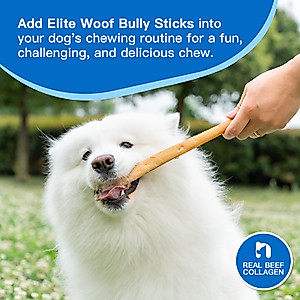 Elite Woof Bully Sticks for Dogs Puppies - 6 Inch Standard 100% Natural Dog Treats, Grass-fed Beef Dog Chews, Grain-Free, High Protein, Long-Lasting Pet Food for All Dog Breeds (6 Pack)