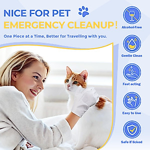 PUPMATE Pet Cleaning Glove Wipes for Dogs & Cats, Hypoallergenic Deodorizing Disposable No-Rinse Grooming Wipes, Extra Thick Bathing Wipes,Perfect for Pet Dry Cleaning,Daily Care and Travel,6 pcs