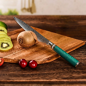 Utility Paring Knife 6 Inch Damascus Chefs Knife Utility Kitchen Knife Japanese VG10 Kitchen Paring Knives 67-Layer High Carbon Stainless Steel Knife Fruit Knife Christmas Gift