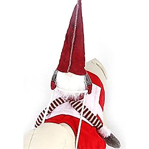 Dog Christmas Costume Santa Claus Riding on Dog Apparel Party Dressing Up Clothing for Pet Christmas Riding Outfit for Dogs Hoodie Coat Clothes Xmas Costumes (Medium)