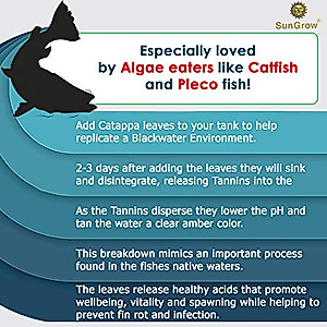 SunGrow Saver Bundle Pack - Catappa Leaves 10Pcs/Pack + Large Leaf Hammock