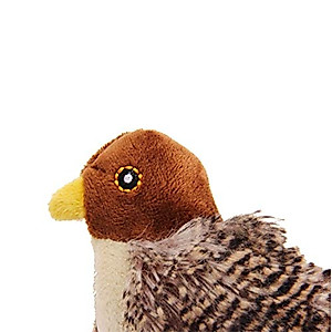 GIGWI Melody Chaser Motion Activated Bird, Black (G10052A1)