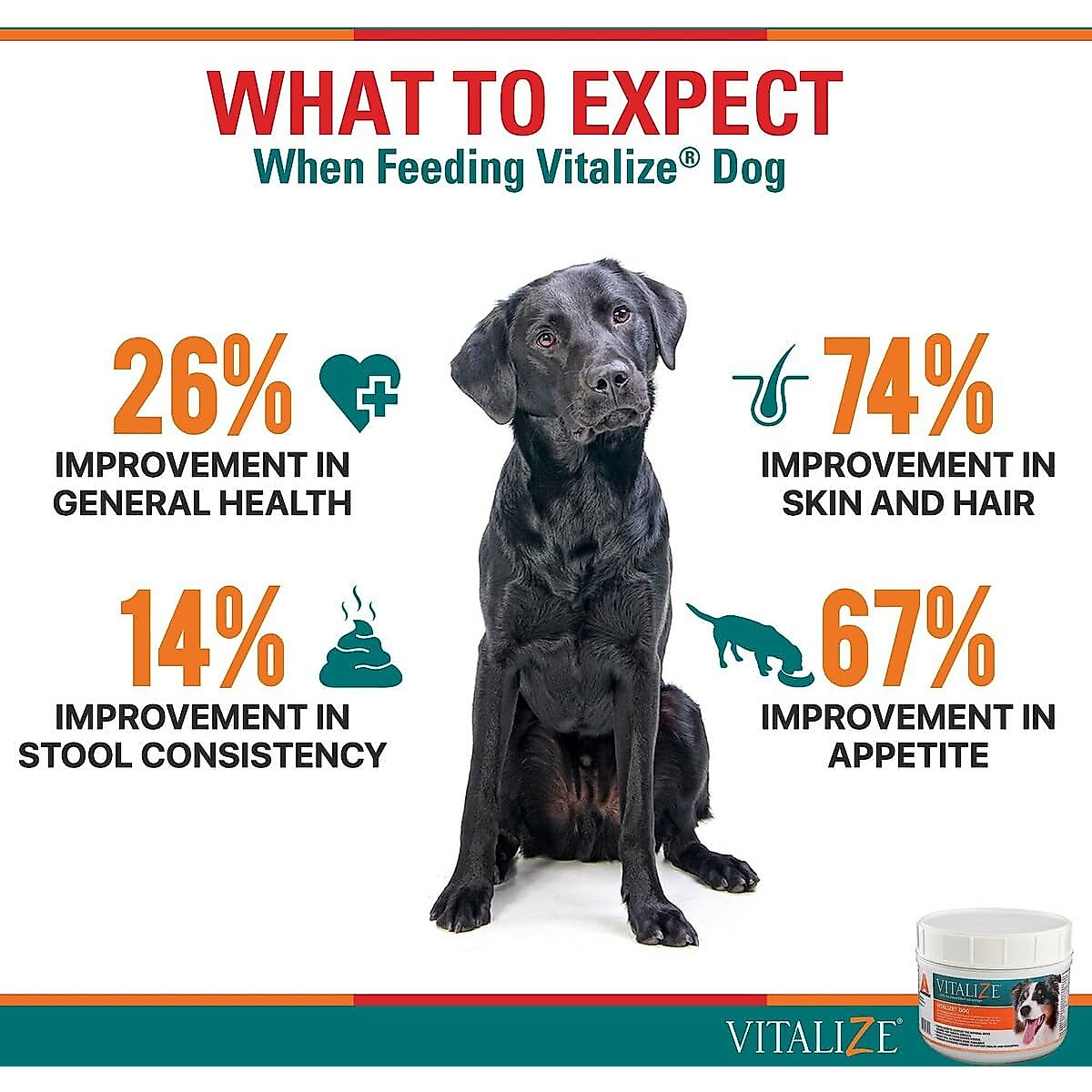 Vitalize Dog Digestive Health Powder - Relief for Constipation, Vomiting & Nausea, Skin & Coat Supplement- Multivitamin Powder with Omega 6, 3 & Biotin & Dog Prenatal Supplement (1 Pound)