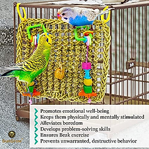 SunGrow Bird, Small Animals & Rabbit Foraging Wall Chew Toy with Hanging Hook, Seagrass Woven Mat with Colorful Wooden Blocks, Grind Teeth