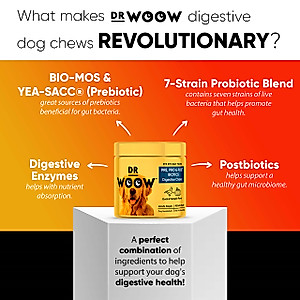 Dr Woow Pre, Pro, PostBiotic+ Salmon SkinHealth Soft Chew Supplement Bundle - Dog Vitamins, Zinc, Biotin, Probiotics, Omega 3 Fish Oil, and Wild Alaskan Salmon Oil, Cure Itchy Skin