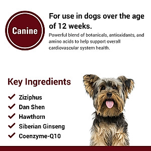 Vet Classics Cardiovascular Support with Coenzyme Q-10 for Dogs, Supports Cardiovascular System with Ziziphus, Dan Shen, Hawthorn, & Siberian Ginseng, 120 Chewable Tablets