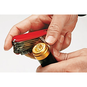 CANIV.SWISSCHAMP SILVER