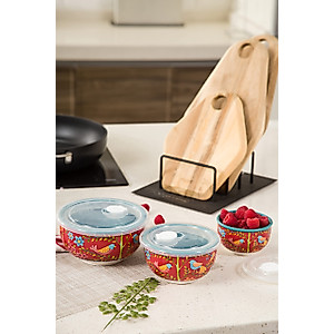 Bico Red Spring Bird Ceramic Bowl with Air Tight Lid Set of 3(27oz, 18oz, 9oz each), Prep bowls, Food Storage Bowl for Salad, Snacks, Fruits, Microwave and Dishwasher Safe