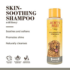 Burt's Bees for Pets Natural Skin Soothing Shampoo with Honey | Dog Shampoo for All Dogs and Puppies | Safe for Dogs with Dry and Sensitive Skin | pH Balanced for Dogs - Made in USA, 16 Ounces
