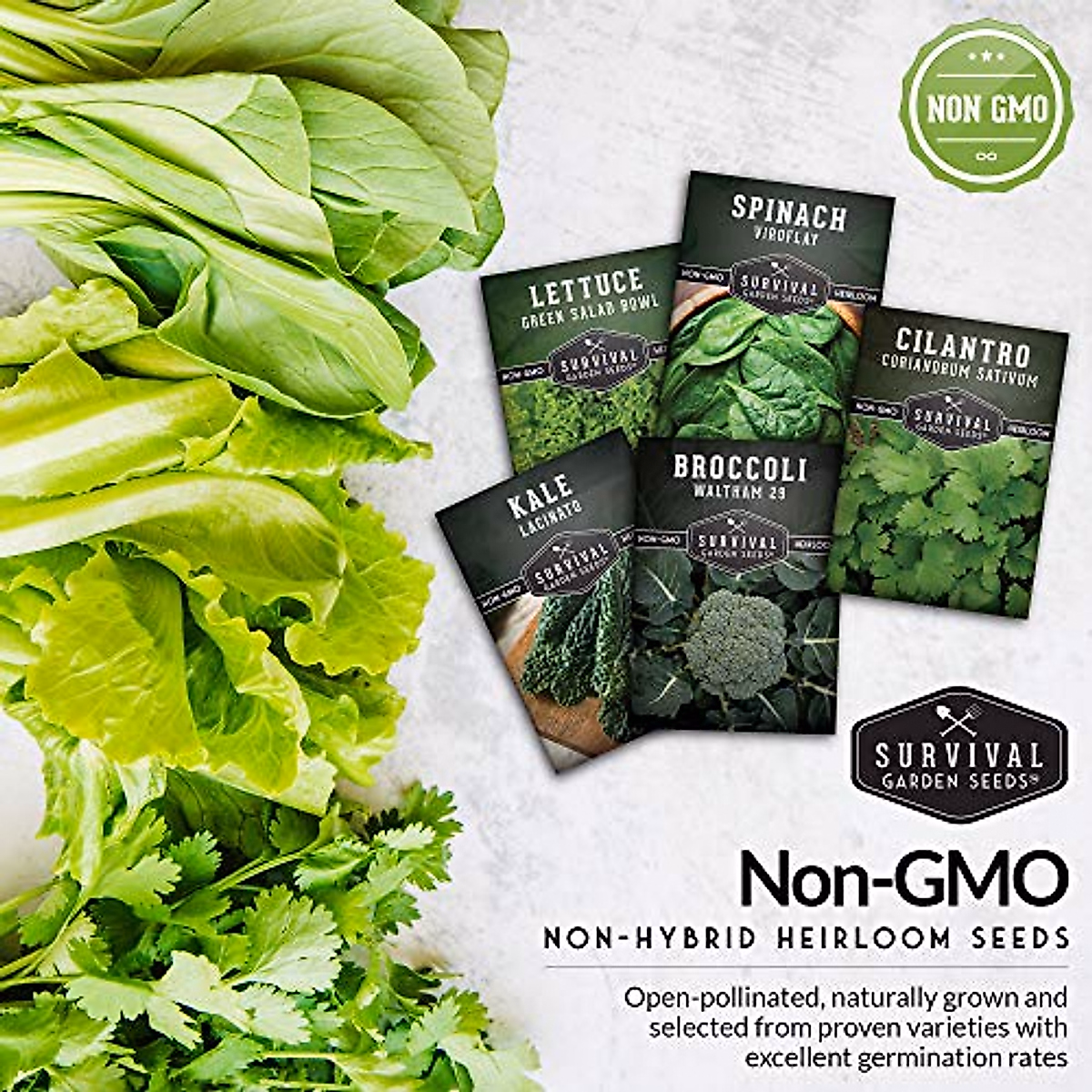 Survival Garden Seeds Cool Weather Collection Seed Vault - Spinach, Kale, Cilantro, Broccoli, and Leaf Lettuce - Non-GMO Heirloom Varieties for Indoor & Outdoor Planting - Homestead Necessities