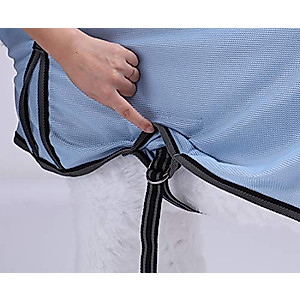 LEAFOREST Sheep Cover, Sheep Blankets for Show Lambs, Sheep Supplies Sheep Covers for Lambs (Blue, M)