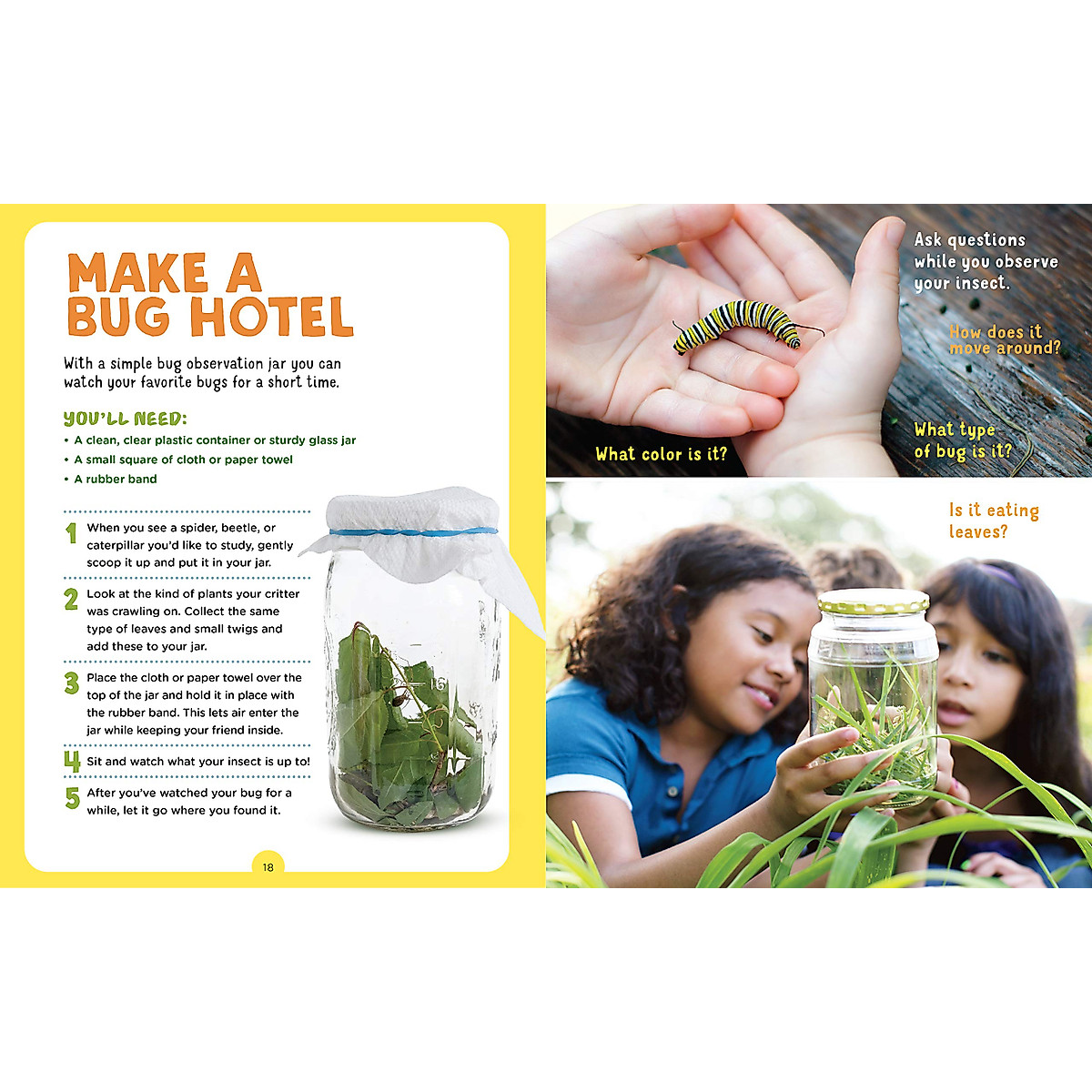 Backpack Explorer: Bug Hunt: What Will You Find?