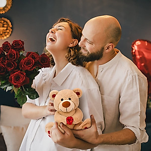 Valentines Day Gifts for Her Women Wife, 11 inch Teddy Bear Stuffed Animals for Kids Mom Girlfriend Fiancée, Christmas Birthday Anniversary Mothers Day Plush Bear Gifts from Boyfriend Husband