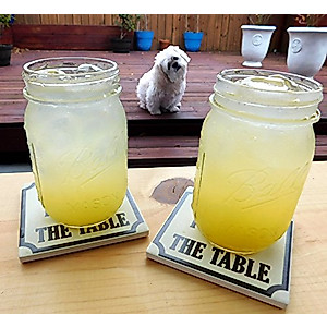 Absorbent Stone Drink Coasters - Funny Coasters for Drinks - Huge 4.25 Inch Square Ceramic Stone with Cork Backing Coaster