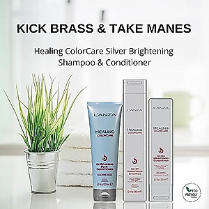 L'ANZA Healing ColorCare Silver Brightening Shampoo, for Silver, Gray, White, Blonde & Highlighted Hair, Boosts Shine and Brightness while Healing, Controls Unwanted Warm Tones (10.1 Fl Oz)