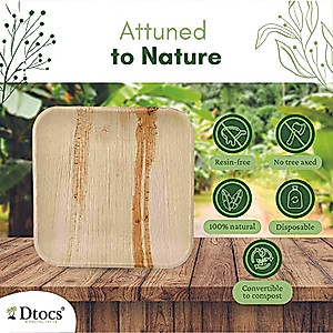 Dtocs Palm Leaf Plate 8 Inch Square Plate (50 Pcs) Bamboo Plate Like Compostable Party Plate Set - Mini Dinner Plate, Cake Plate, Appetizer Plate | Disposable Plates Sturdier Than 8" Paper Plates