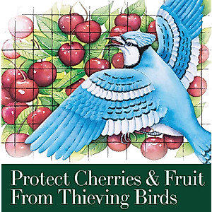 Dalen Bird X Protective Mesh Netting - Keep Birds and Pests Away from Your Garden – Non Toxic - Made in The USA - 28' x 28'