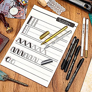 Chinco 9 Pieces Calligraphy Set for Beginners learn Caligraphy Kits, Including 8 Pieces Calligraphy Brush Pens Hand Lettering Pens and Lettering Workbook Calligraphy Book for Teen Kid Adult