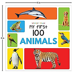 My First 100 Series Boxset