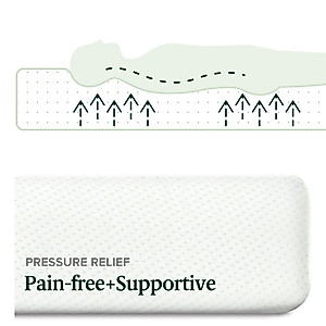 ZINUS 8 Inch Green Tea Memory Foam Mattress and Mia Platform Bed Frame Set / Bed and Mattress Set / No Box Spring Needed / Mattress in a Box, King