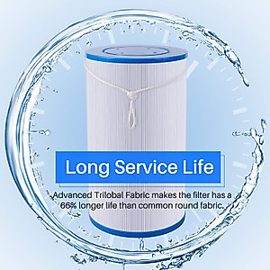 POOLPURE Spa Filter Replaces Watkins 303279, PFF42TC-P4, 78460, FC-2402, Lifesmart, Freeflow, AquaTerra, Hydromaster, Grandmaster, Simplicity, Bermuda Hot Tub Filters, 1 1/2" MPT Fine Thread, 2 Pack