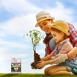 Hormex Vitamin B1 Rooting Hormone Concentrate - Rooting Hormone for Hydroponics, Aeroponics, Established Plants, Cuttings and More, Indoor and Outdoor Plant Growth Stimulator Concentrate - (8oz)