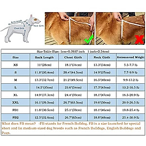 Cute Dog Sweatshirt Heart-Shaped T-Shirt Soft Solid Color Turtleneck Clothes Pet Puppy Pullover Cat Warm Costume (FB1,Green)