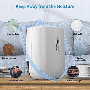 Dehumidifiers for Home, Small Dehumidifiers with Drain Hose(30OZ),2400 Cubic Feet (260 sq ft) Portable Dehumidifier for Room, Auto Shut Off, 30dB Ultra Quiet, Dehumidifiers for Bathroom, Basement,