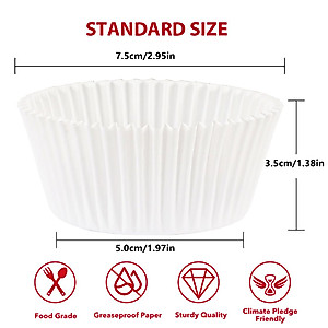 Standard White Cupcake Liners for Baking 200 Counts - Caperci Greaseproof Muffin Baking Cups for Wedding Birthday Party Baby Shower Festivals (White)
