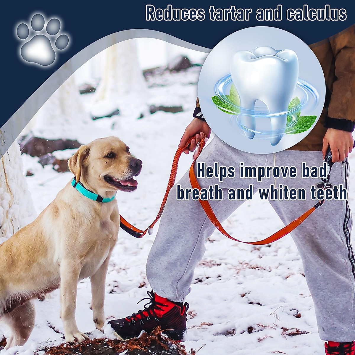 Plaque and Tartar Remover for Dogs and Cats, Pet Dental Scaler with LED Light, Electric Dog Teeth Cleaning Tools 3 Cleaning Mode, Easy to Use and Safe,Black