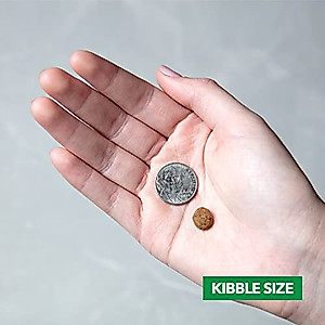 IAMS Smart Puppy Large Breed Dry Puppy Food with Real Chicken, 30.6 lb. Bag