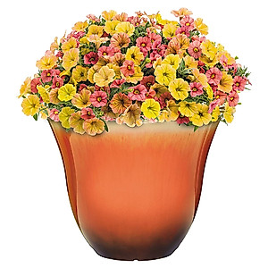 Classic Home and Garden Honeysuckle Resin Flower Pot Planter, Tequila Sunrise, 13"