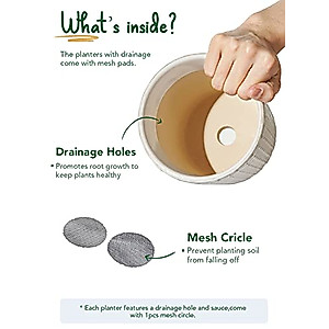 LE TAUCI Ceramic Plant Pots, 5.4 Inch Pots for Indoor Plants, Planters with Drainage Hole and Saucer, Flower Pots for Succulent, Snake Plants and Cactus, Set of 2, Reactive Glaze White