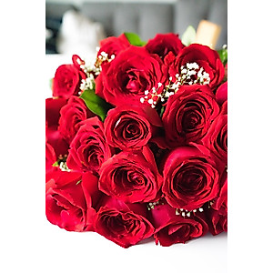 From You Flowers - Two Dozen Red Roses with Chocolates with Glass Vase (Fresh Flowers) Birthday, Anniversary, Get Well, Sympathy, Congratulations, Thank You