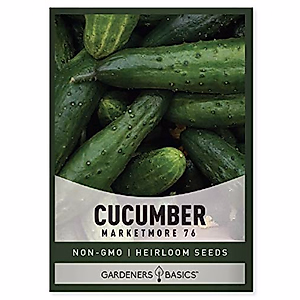 Cucumber Seeds for Planting - Marketmore 76 - Cucumis sativus Heirloom, Non-GMO Vegetable Variety- 1 Gram Seeds Great for Outdoor Gardening by Gardeners Basics