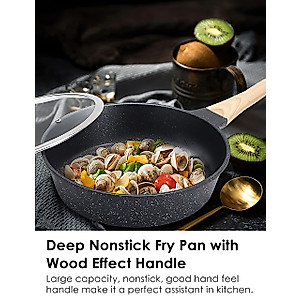 TAMASAKI 11 Inch Nonstick Medical Stone Skillet No Fumes Frying Pan Household Nonstick Cookware Stone-Derived Coating with Glass Lid Black