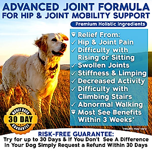 Well Loved Glucosamine for Dogs - Joint Supplement for Dogs, Made in USA, Vet Developed, Dog Joint Supplement, Glucosamine Chondroitin for Dogs, Advanced Hip and Joint Chews with MSM, Pain Relief, 120