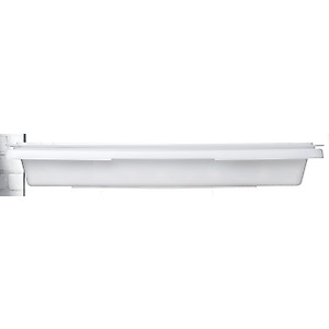 Polyethylene Food Box Storage Container