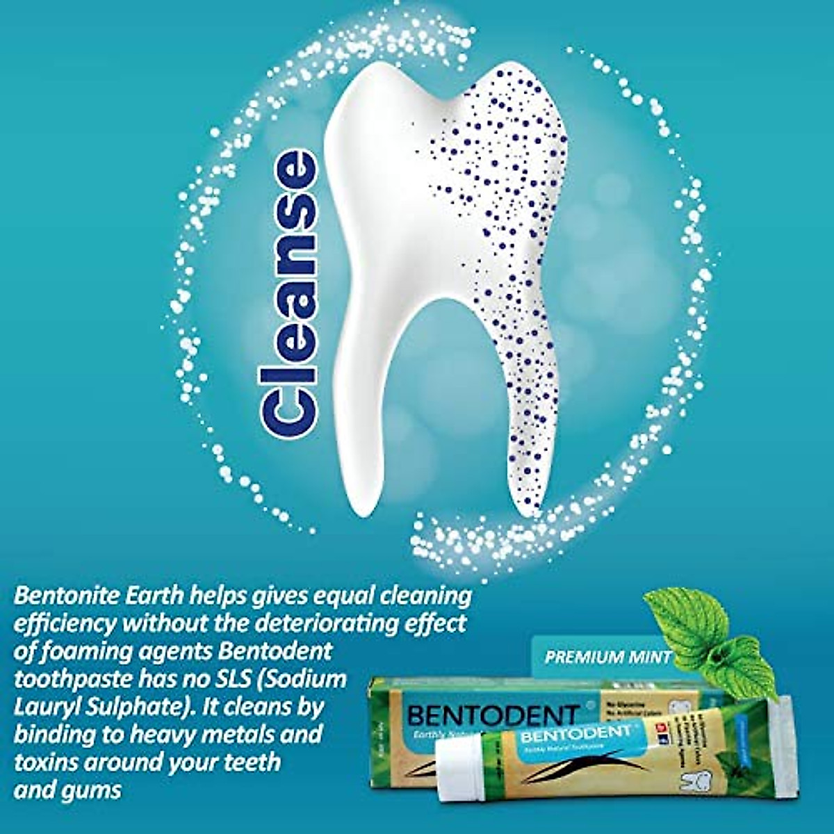 Bentodent Natural Toothpaste for Family Including Kids (Premium Mint)