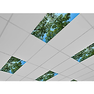 ShadeMAGIC - 4 Pack - Fluorescent Light Covers - 2x4 Film Insert for Ceiling Light Diffuser Panels - Tree Design - Classrooms and Offices - Decorative Lighting