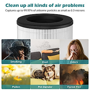 GoKBNY 2-Pack B-D02U True HEPA Replacement Filter Compatible with VEWIOR B-D02U Purifier, 3-Stage Filtration Filters, with Aromatherapy Tablets