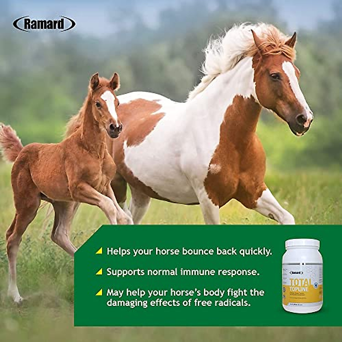 Ramard Total Topline Powder Horse Supplements - Build and Maintain Muscle Tissue During Recovery for Foals and Horses - Protein & Amino Energy Horse Supplement - 2lb Tub