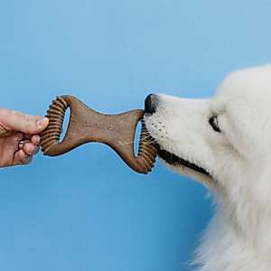 Lumabone Real Bacon Medium 3-Pack Durable Dog Chew Toys for Aggressive Chewers, Made in USA & Real Bacon 3-Pack Dog Toys for Aggressive Chewers,Wishbone, Dental Chew, Ring Bacon Medium