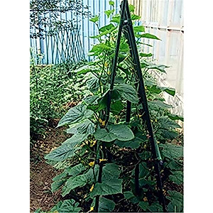 TINGYUAN Garden Stakes 48 Inches Steel Plant Stakes, Pack of 25