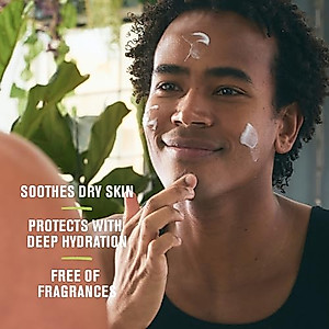 Every Man Jack Daily Face Lotion for Men - Deeply Moisturize and Revive Dry, Tired Skin with Hyaluronic Acid, Aloe Vera and Niacinamide - 2.5 oz Men’s Face Lotion (2 Pack)