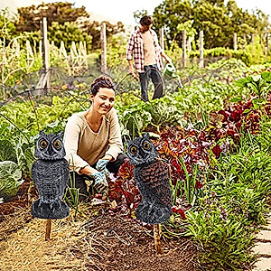 Hausse 2 Pack Bird Scarecrow Fake Owl Decoy Sculpture, Rotating Head Plastic Owl Bird Deterrents, 10.6 Inch Height Nature Enemy Horned Pest Repellent for Outdoor Garden Yard