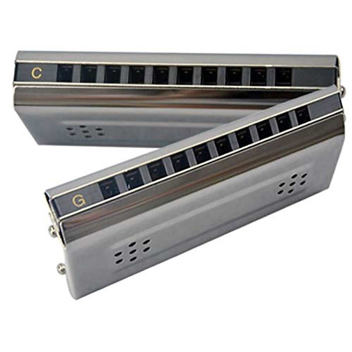 WAAZVXS Harmonica Tremolo Diatonic 10 24 Holes Mouth Organ Instrument Blues Harp Both Side Key C G Musical Instruments (Color : Golden 24 Holes)