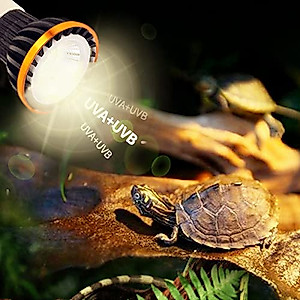 UVA UVB Reptile Light Bulb - Full Spectrum LED UVB Sun Lamp for Reptile and Amphibian Turtle Use (4W 5.0)