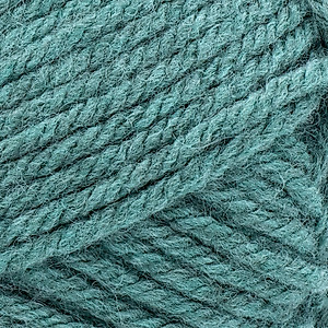 Lion Brand Yarn Hue & Me Bulky Yarn, Agave, 1 Skein